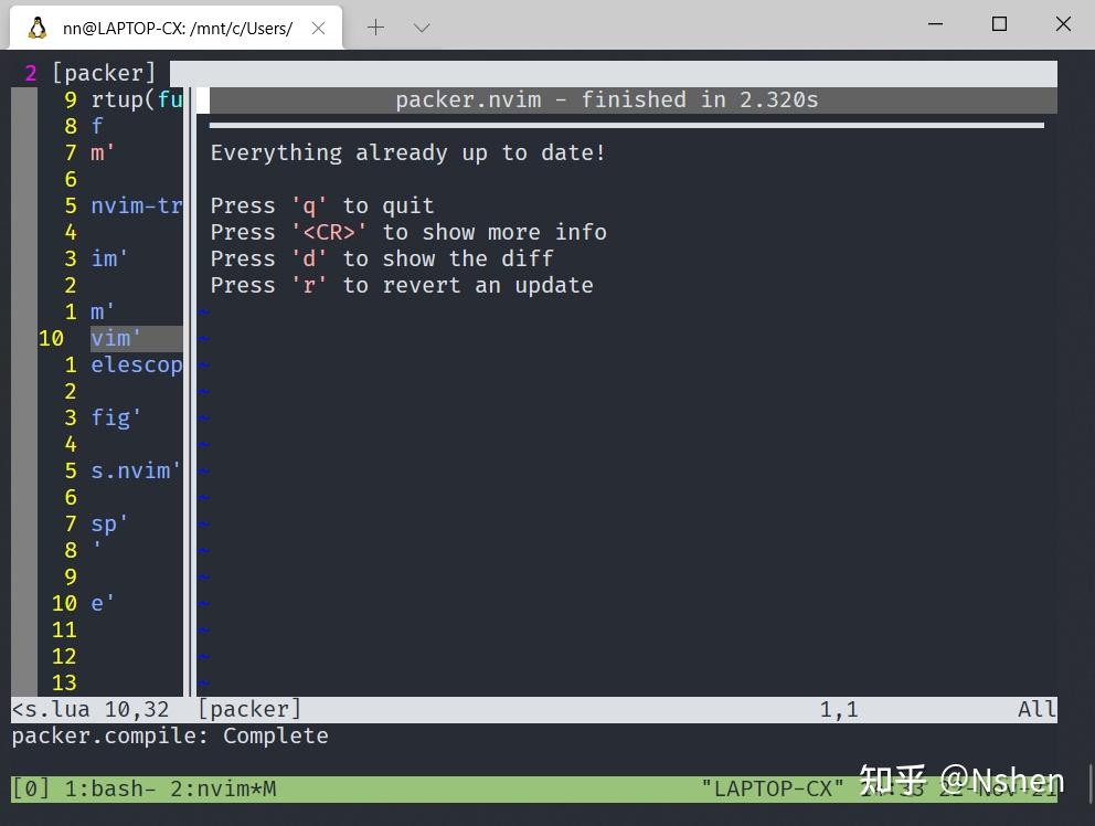Neovim 插件管理与配置 - 知乎