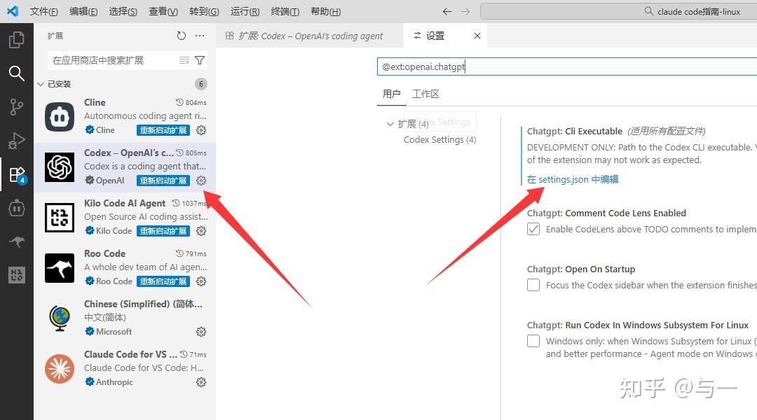 2026最新 Codex CLI 国内使用教程：Windows / Mac / Linux 配置 + VSCode 接入一次搞定 - 知乎