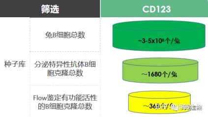 肿瘤免疫靶点｜CD123 - 知乎