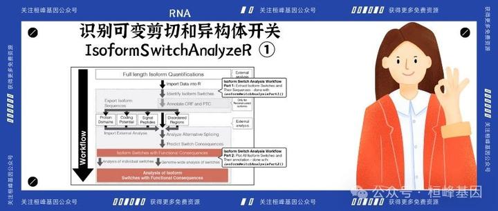RNA 46. 基于转录组识别可变剪切和异构体开关(IsoformSwitchAnalyzeR)① - 知乎
