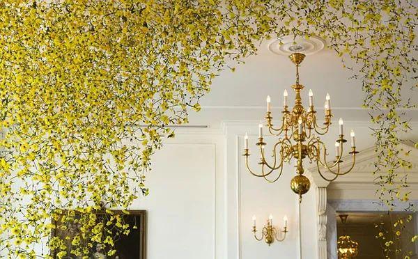 花艺装置艺术家Rebecca Louise Law | 爱马仕的私密晚宴秀翻全场 - 知乎