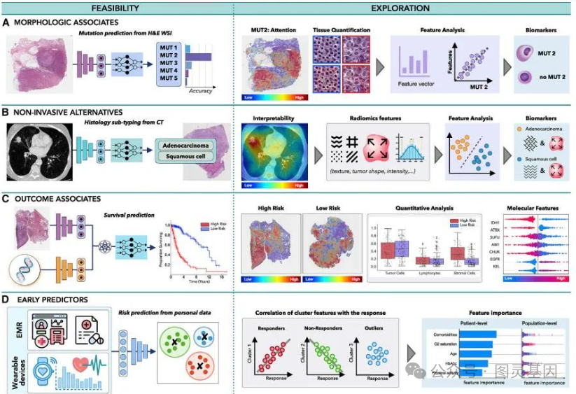 Nat Methods | 基于空间组学探讨细胞通讯：CellNEST揭示细胞间中继网络 - 知乎