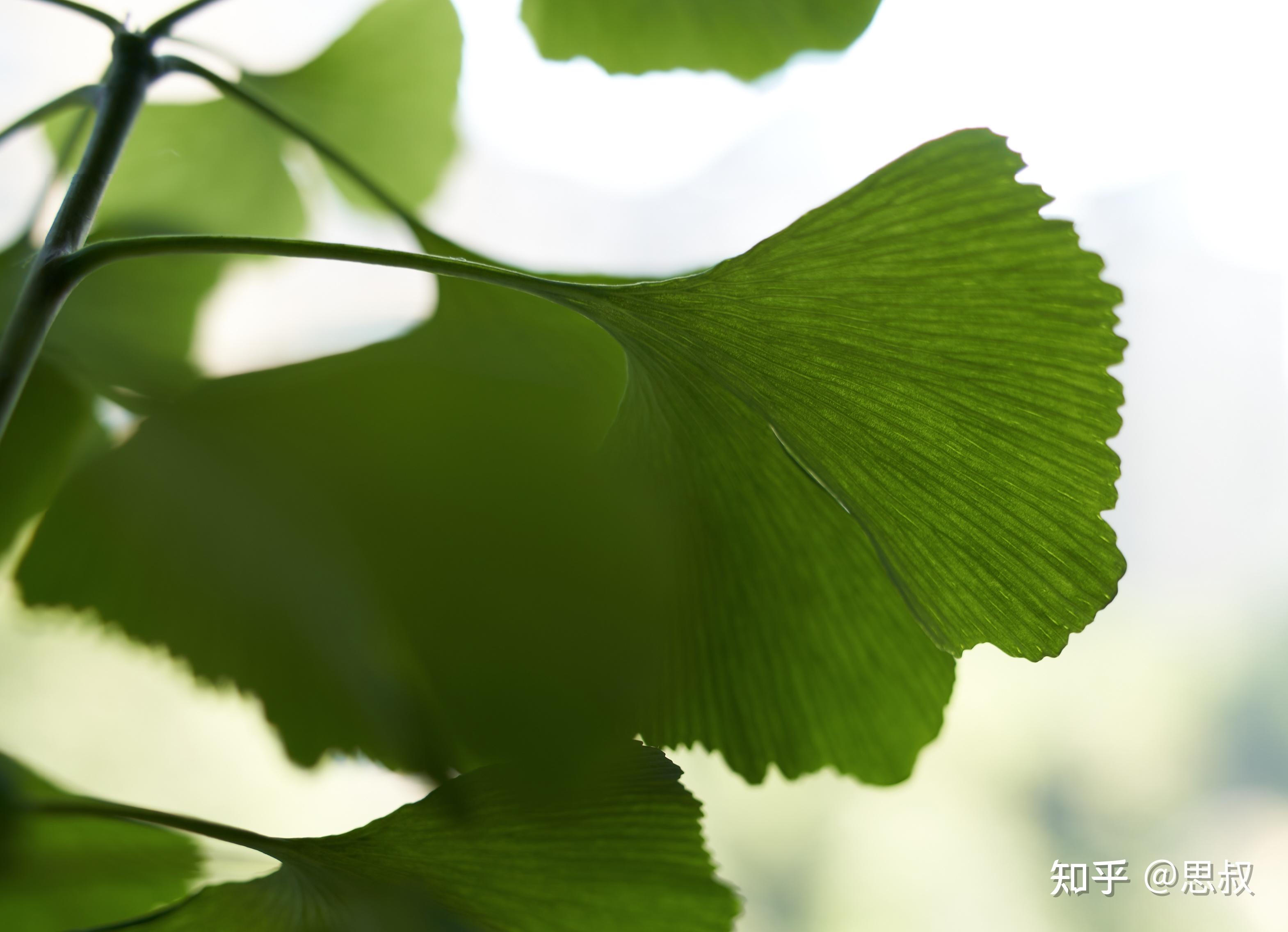 买了索尼A7M3已自带28-60，在想要不要买腾龙28-200，主要是旅行拍风景，预算6000左右? - 知乎