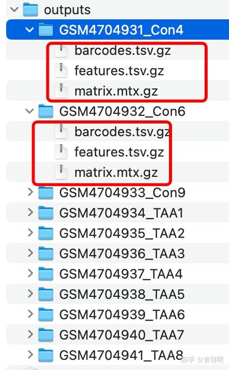 使用Seurat的v5来读取多个不是10x标准文件的单细胞项目 - 知乎