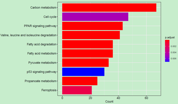 【R】气泡图和柱形图展示挑选的KEGG通路 - 知乎