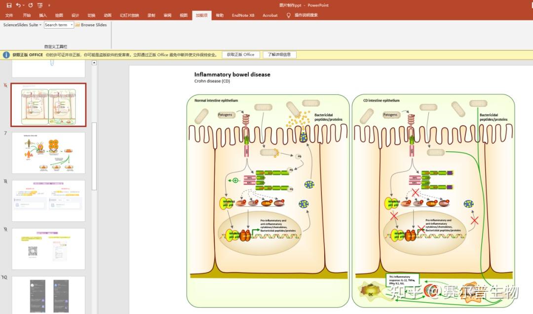 科研绘图王炸：最全矢量素材免费网站/软件合集！ - 知乎