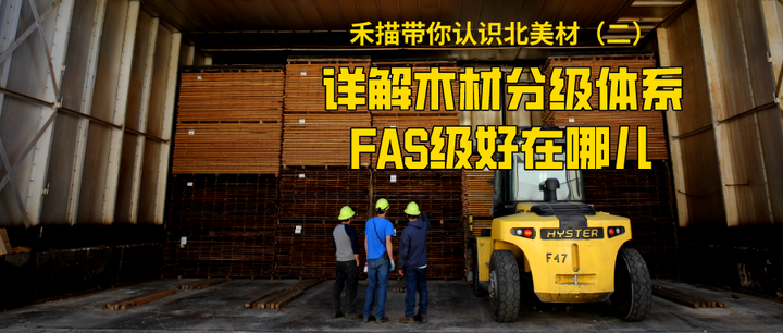 带你认识北美材(二)——为什么选FAS级 - 知乎