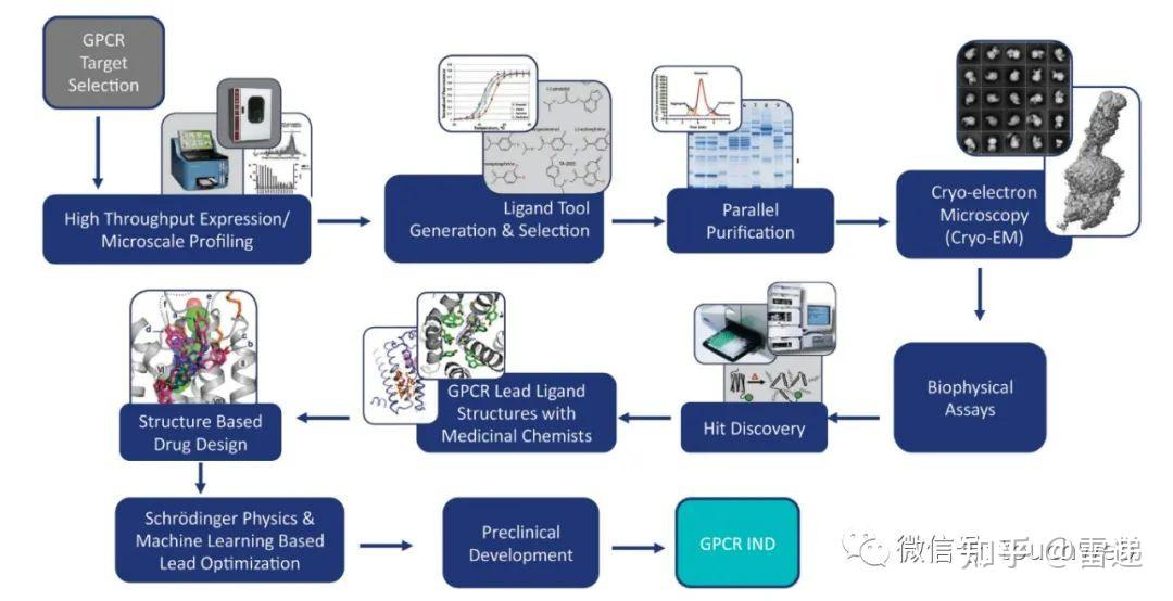 硕迪生物纳斯达克上市：市值9亿美元 红杉高瓴启明是股东 - 知乎