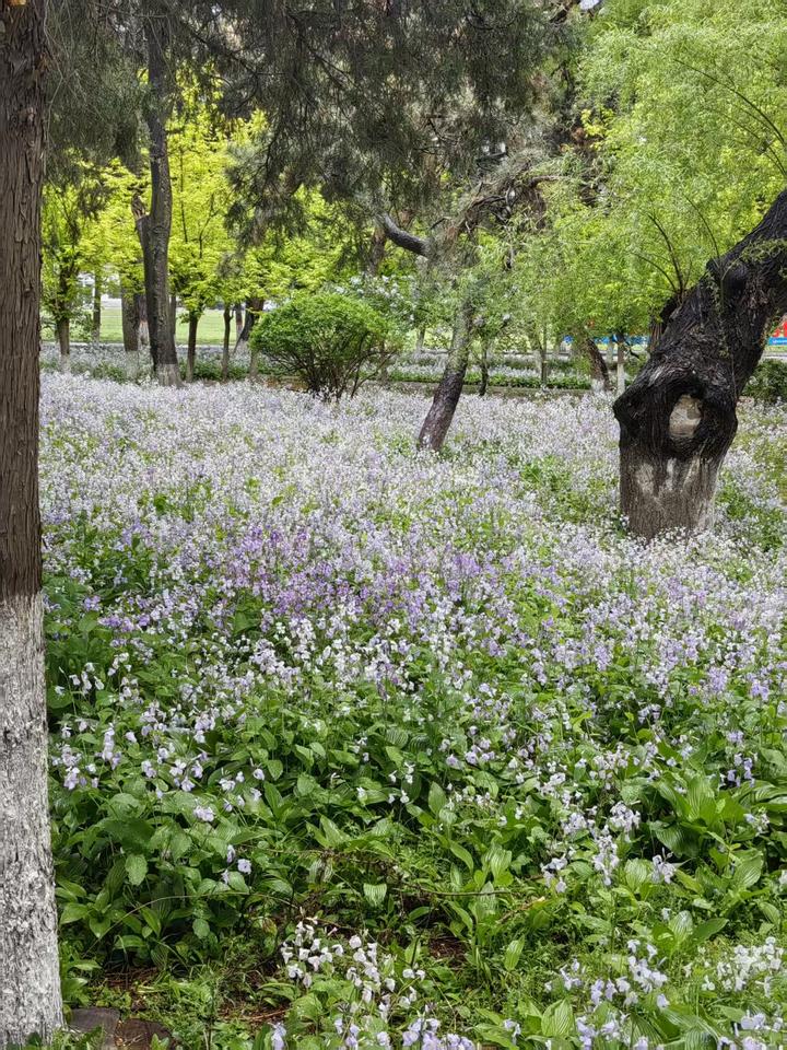 Point transformer v2论文分析 - 知乎