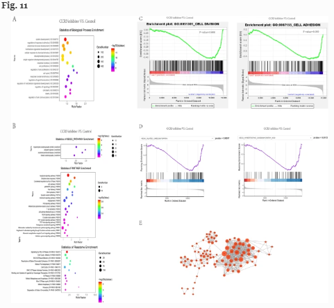 CCL24/CCR3轴通过刺激M2型巨噬细胞极化和成纤维细胞活化在Ang II诱导的心力衰竭中发挥核心作用 - 知乎