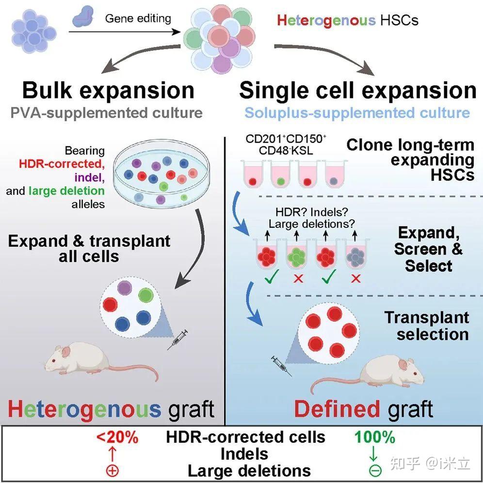 新方法通过单细胞扩增控制基因编辑造血干细胞的遗传异质性 - 知乎