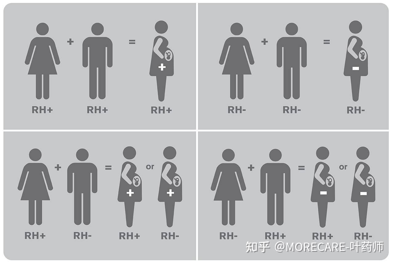 RhoGAM（抗D免疫球蛋白）预防Rh免疫相关研究 - 知乎