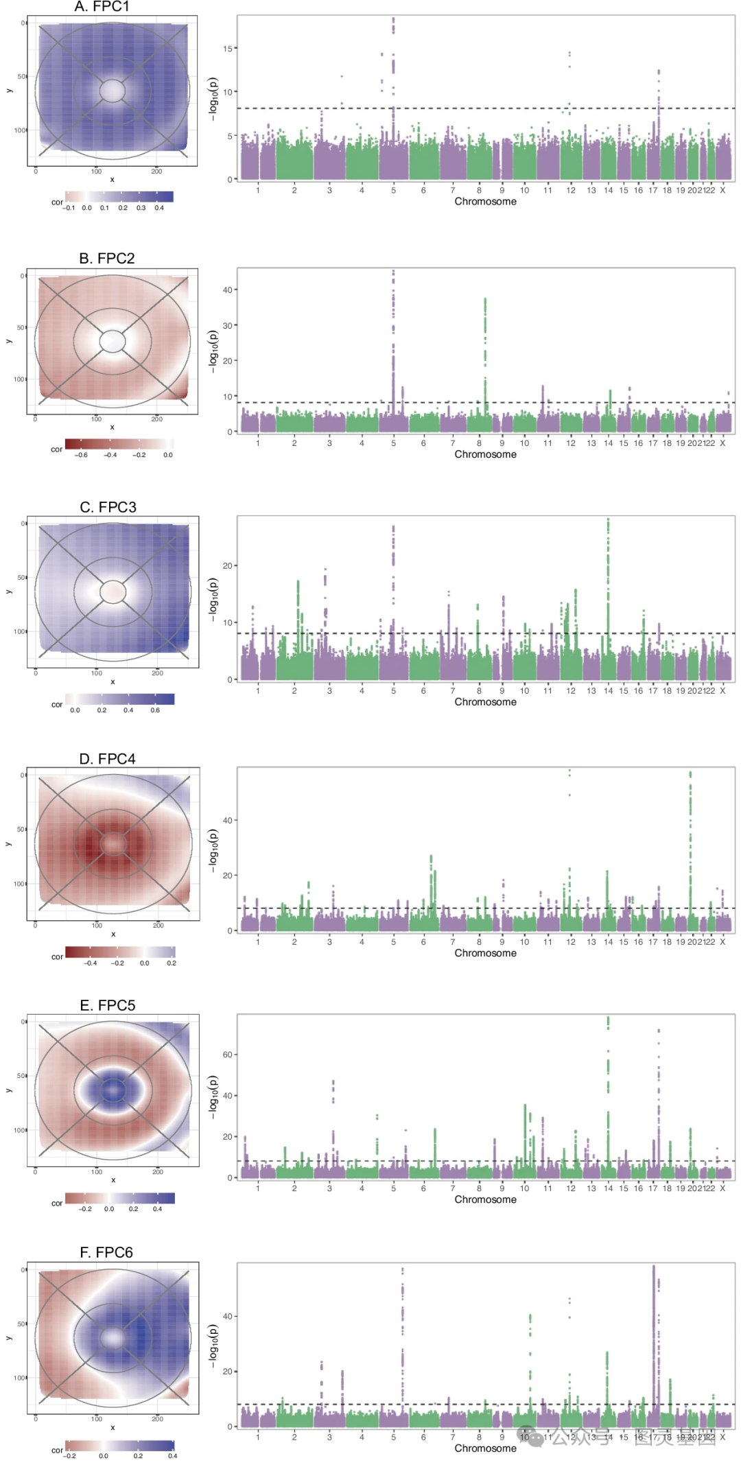 Nat Comm | AI 利用视网膜检测全身性疾病 - 知乎