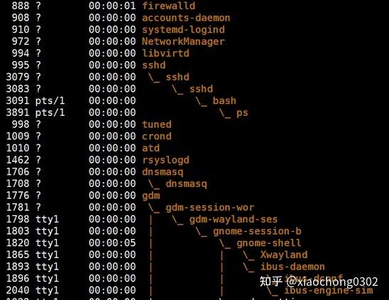 通过20个实例掌握 Linux PS 命令 - 知乎