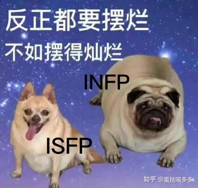Mbti探险家型人格解析 知乎