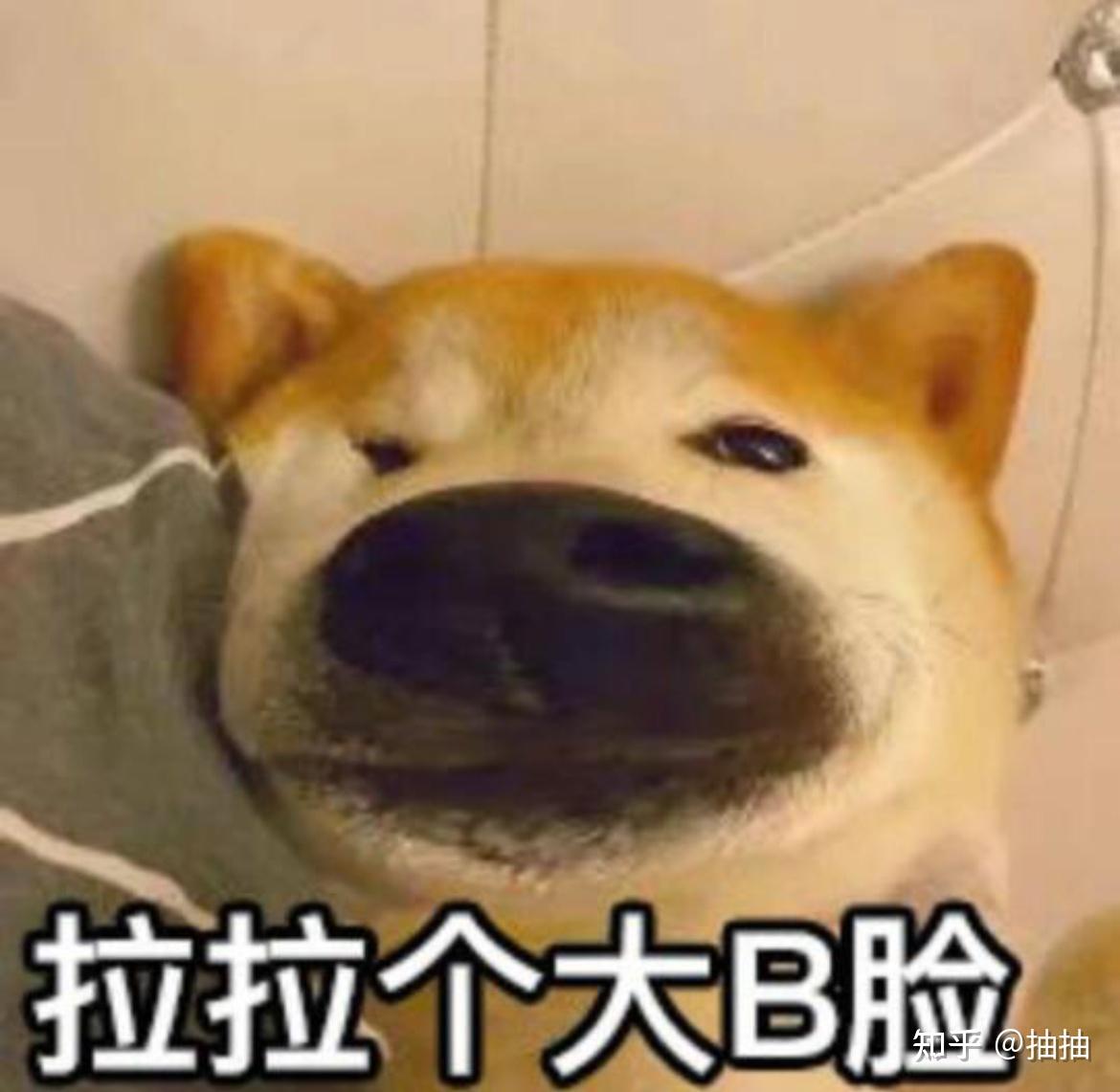 又是无聊的一天 知乎