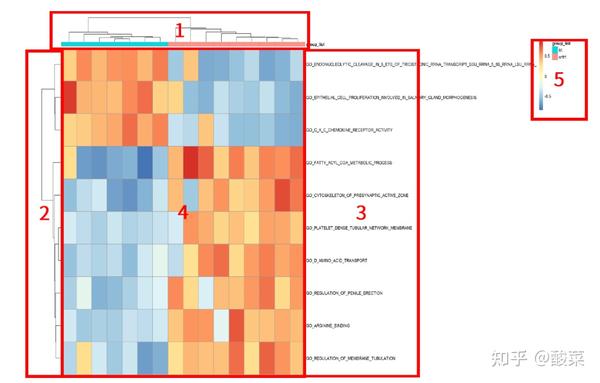 傻傻分不清！GSEA & GSVA有啥差别？史上最全教程来了！ - 知乎