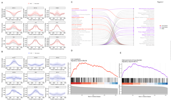 Cancer Discov | 肝癌全基因组cfDNA片段化特征检测方法DELFI，可高灵敏度、特异性筛查高危人群 - 知乎