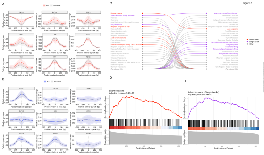 Cancer Discov | 肝癌全基因组cfDNA片段化特征检测方法DELFI，可高灵敏度、特异性筛查高危人群 - 知乎