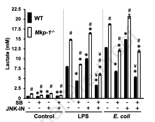 JBC丨p38 MAPK 和 MKP-1 在脓毒症期间通过双功能糖酵解调节剂 PFKFB3 控制糖酵解程序 - 知乎