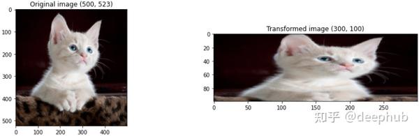 12个常用的图像数据增强技术总结 - 知乎