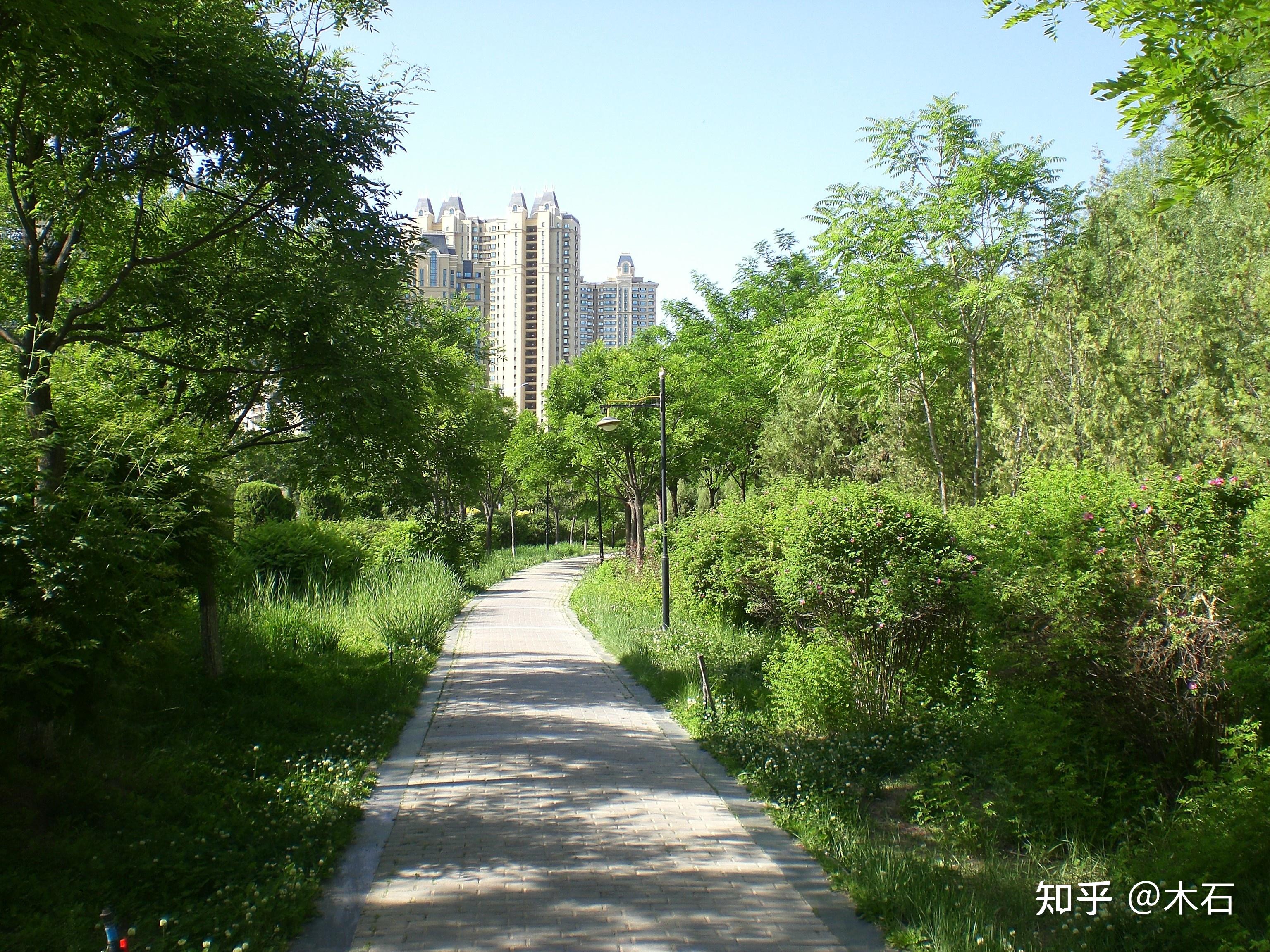 留别叔通、元弼、坦夫（元丰二年三月作于离徐州时）（1079） - 知乎