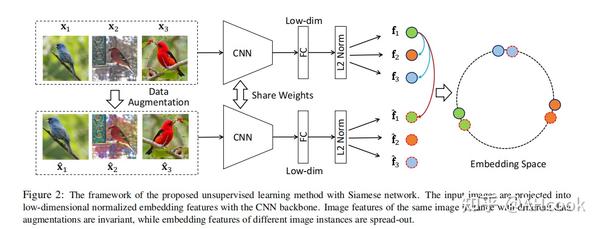 对比学习二 | Unsupervised Embedding Learning via Invariant and Spreading Instance Feature - 知乎