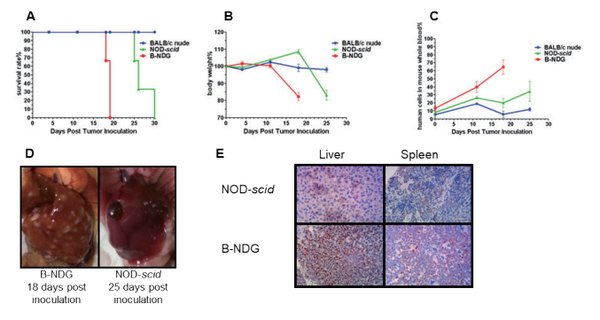 新技能get：CDX模型构建“新玩法” - 知乎