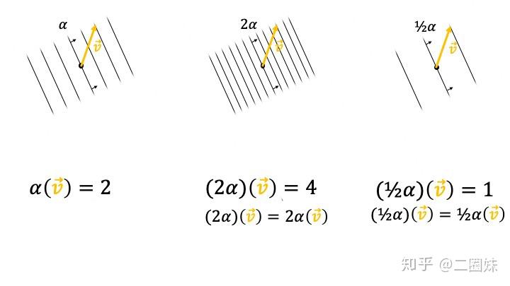 Vector 和 Covector - 知乎