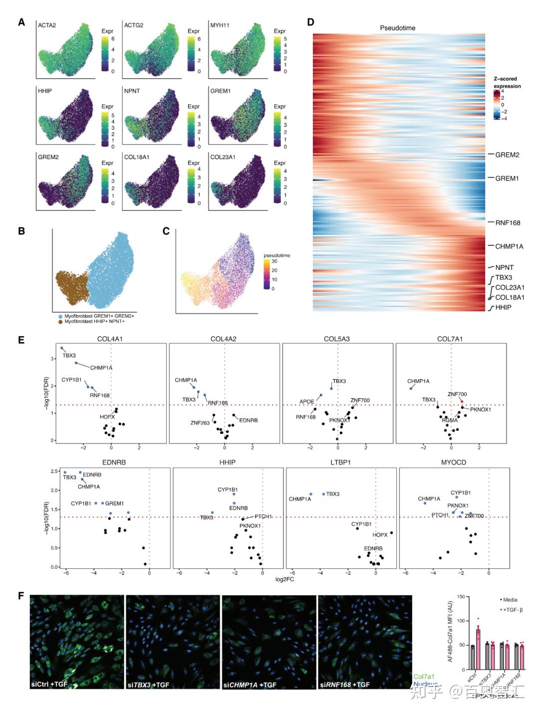 文献解读 | 通过单细胞转录组测序揭示克罗恩病的免疫失调 - 知乎
