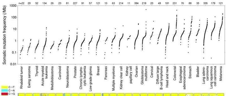 DNA 13. SCI 文章肿瘤突变负荷计算方法（TMB） - 知乎