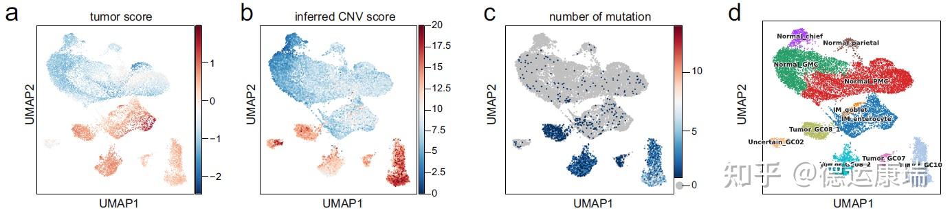 CNV score辅助肿瘤恶性细胞鉴定-附代码 - 知乎