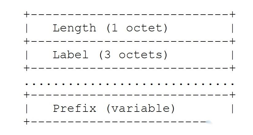 在BGP-4中携带标签信息 - 知乎