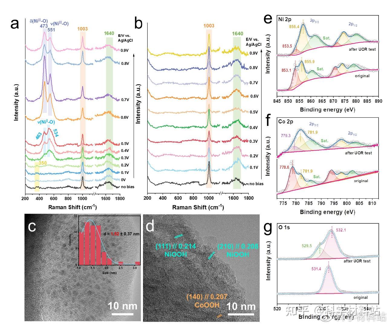 西北工业大学JMCA：界面诱导的快速表面重构策略助力高性能Co-Ni-S电催化尿素氧化 - 知乎