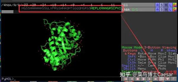 【分子动力学】PyMol入门教程 - 知乎