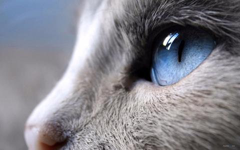 小技巧 | Numpy::Squeeze - 知乎