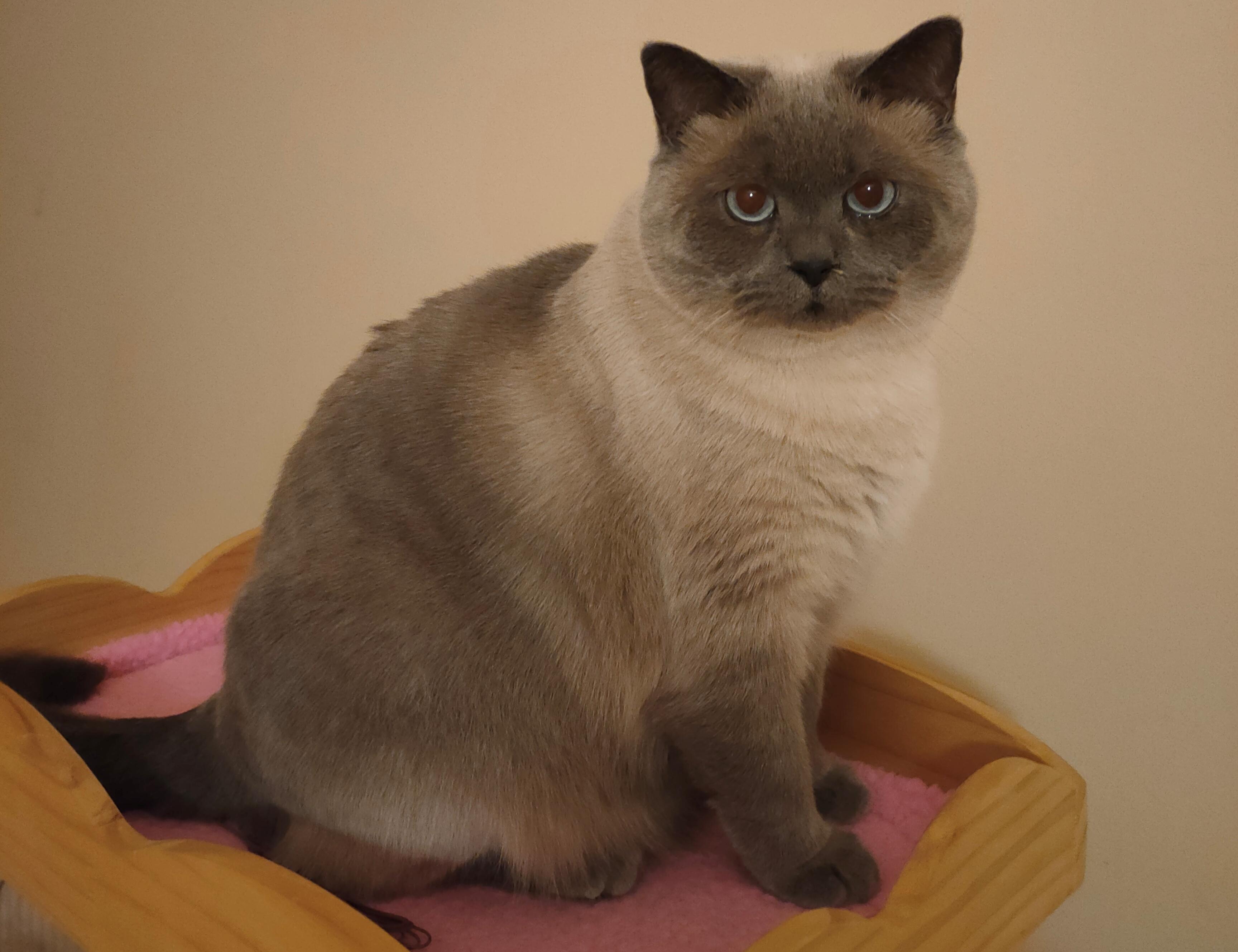 Category of devices, Generic device group 和Device range的定义 - 知乎