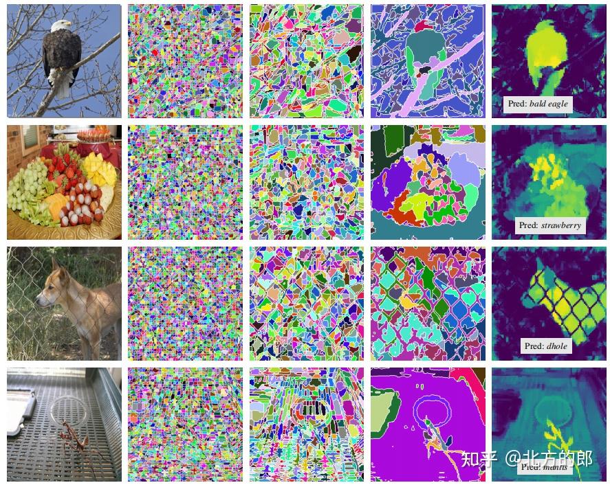 Nvidia发表SeNaTra：基于内容感知分组的原生分割架构——让视觉Transformer“天生”会分割 - 知乎