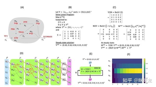 AF2及算法与合成生物学的应用 - 知乎
