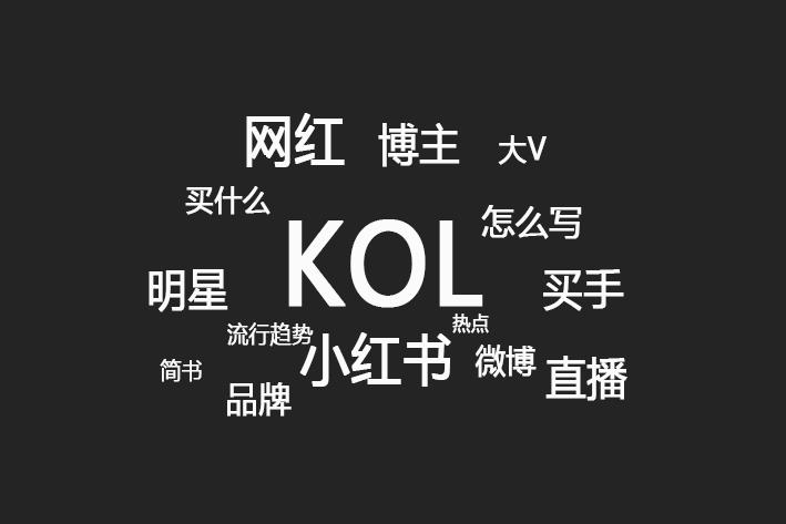 现在经常听kol广告投放渠道，KOL是什么？ - 知乎