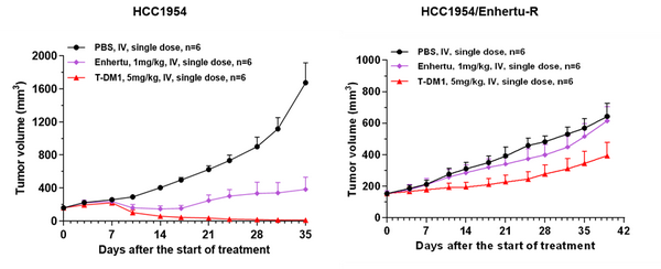 OncoWuXi速递|Enhertu诱导的耐药肿瘤模型 - 知乎
