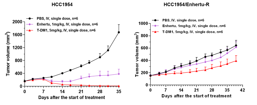 OncoWuXi速递|Enhertu诱导的耐药肿瘤模型 - 知乎