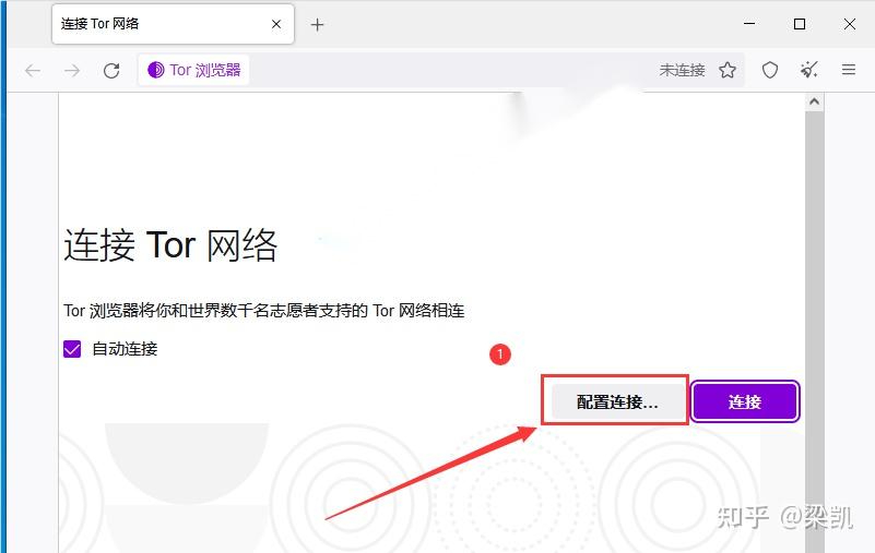 Tor洋葱浏览器下载和使用易路Socks5代理IP上外网 - 知乎