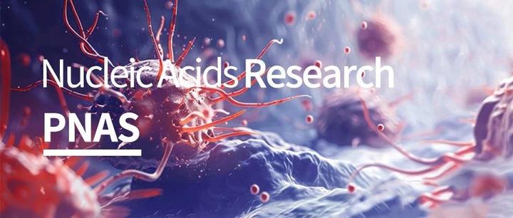 PNAS、NAR | 天津医科大学张锴：组蛋白乳酸化、β-羟基丁酰化的阅读器及其调控机制 - 知乎