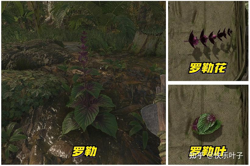 Green Hell《绿色地狱》主要植物及食用效果（新手向） - 知乎