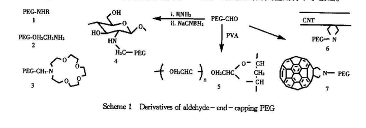 mPEG5000-Hydrazide mPEG20K-HRP 甲氧基聚乙二醇-酰肼 甲氧基聚乙二醇-辣根过氧化物 - 知乎