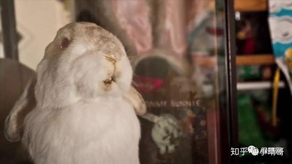 越怪越有趣，全球20座奇葩博物馆颠覆你的想象力！ - 知乎