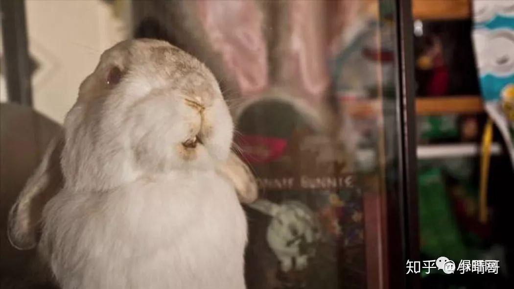 越怪越有趣，全球20座奇葩博物馆颠覆你的想象力！ - 知乎