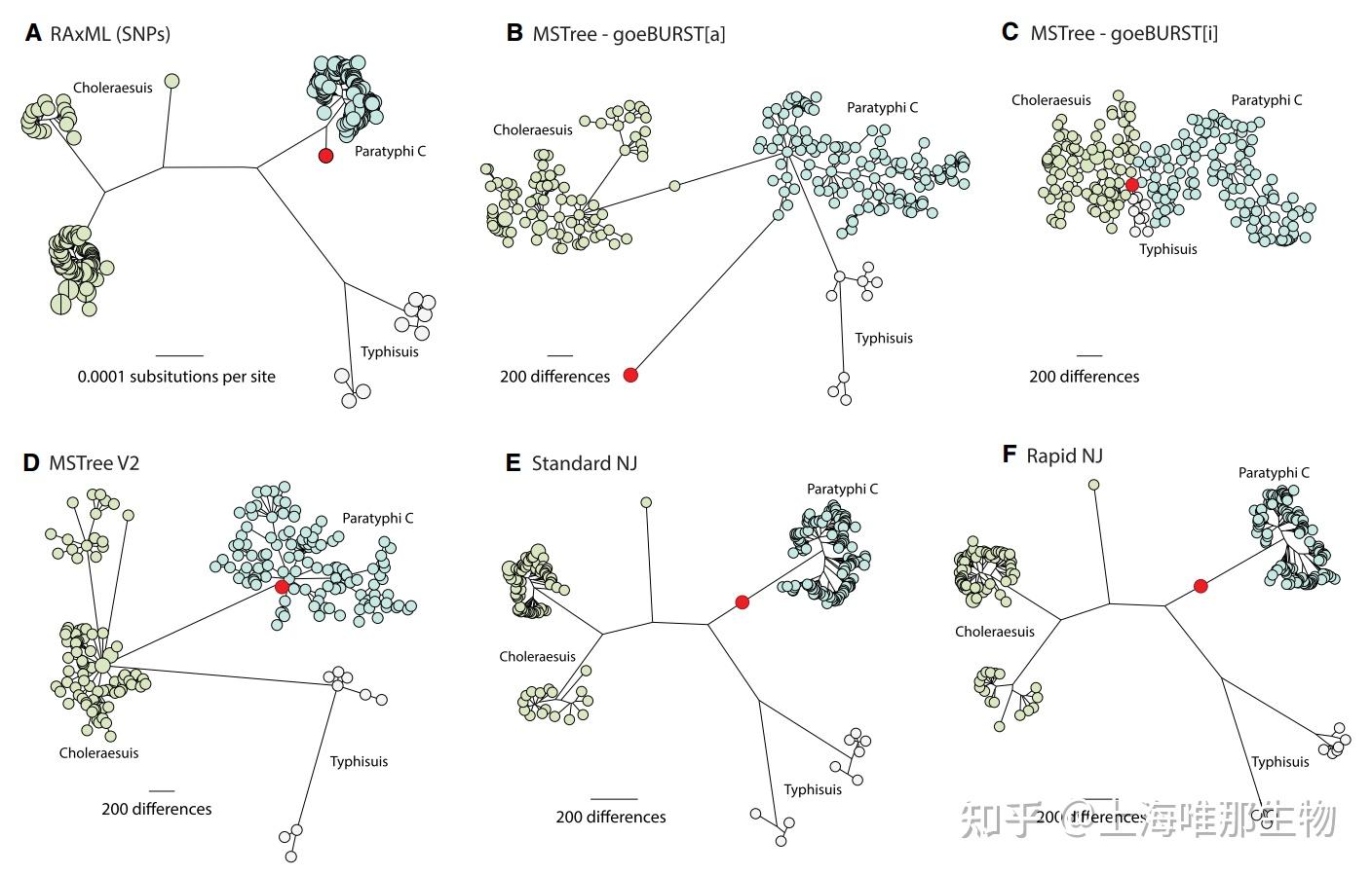 最小生成树构建软件Grapetree与Phyloviz的差异 - 知乎