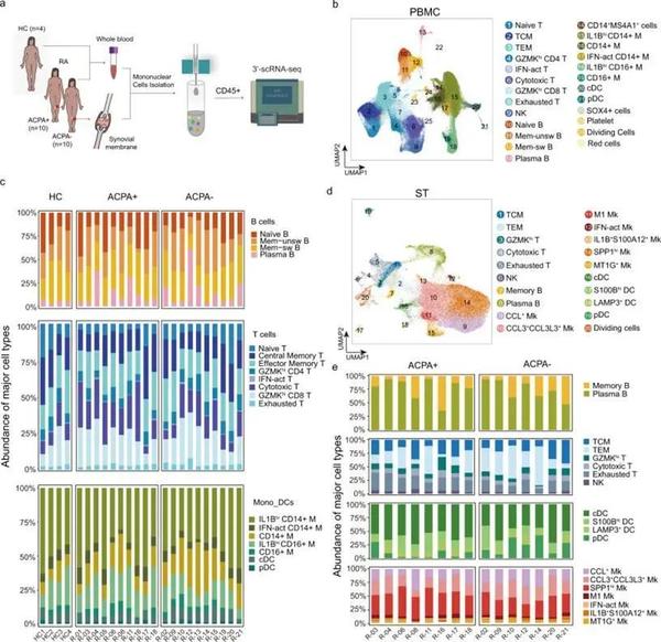 单细胞测序技术在类风湿性关节炎中的应用 - 知乎
